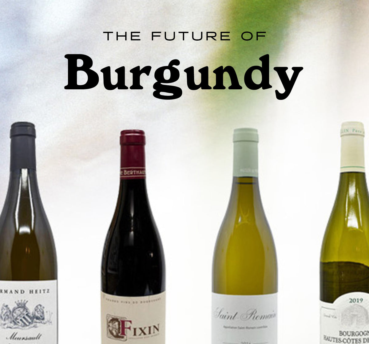 What we love about the Future of Burgundy – Flatiron Wines & Spirits - Home