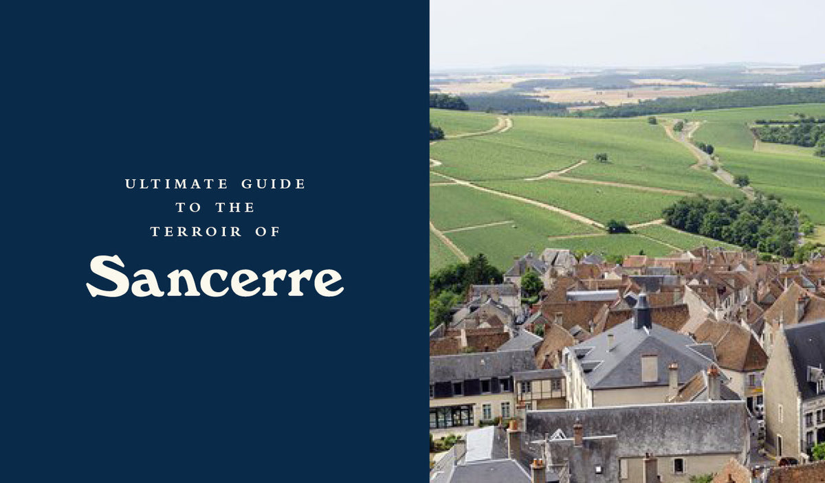 Ultimate Guide to the Terroir of Sancerre, Part One – Flatiron Wines ...