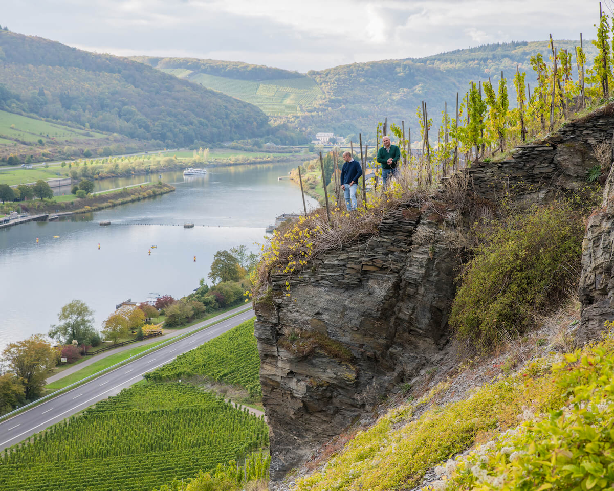 Selbach-Oster – Flatiron Wines & Spirits - Home